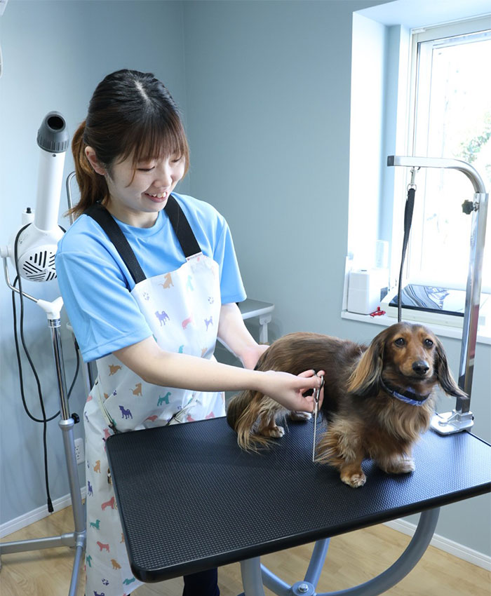 🎀トリミングサロン🎀 | WANHOUSE｜ドッグサロン